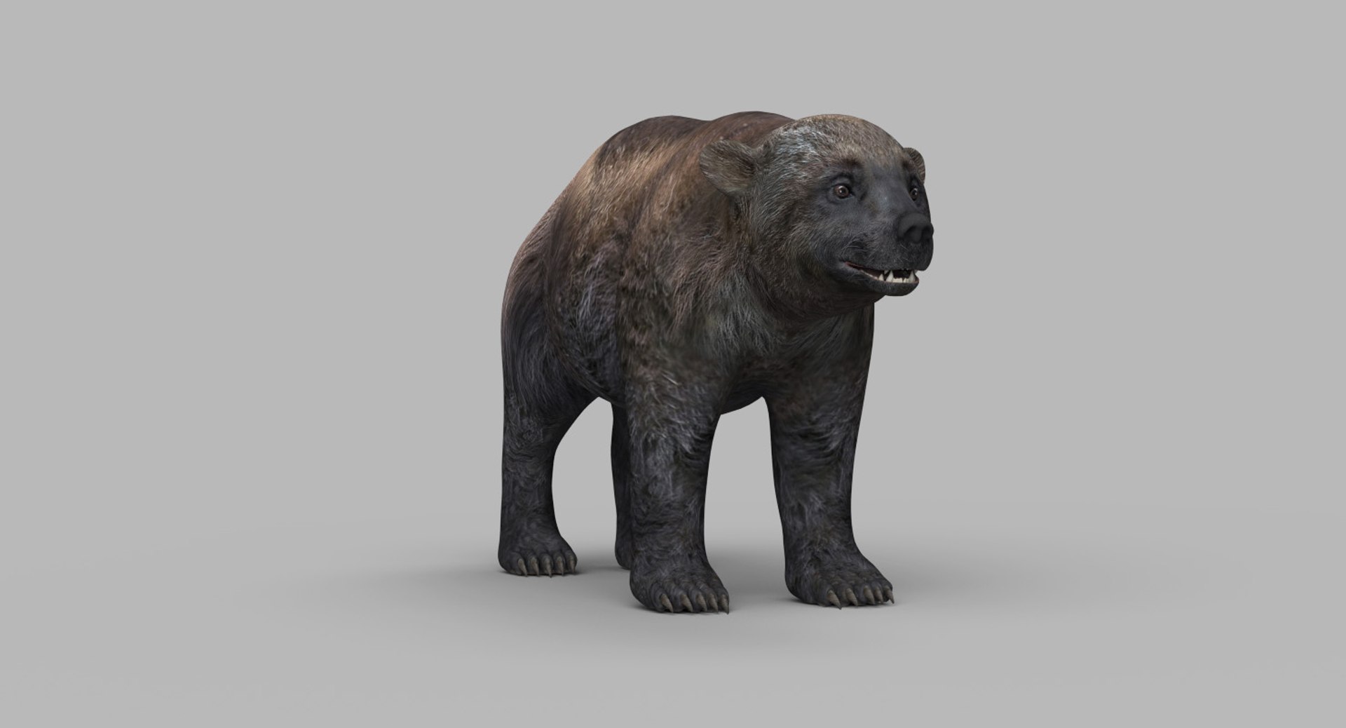 3D wolverine mammal fauna - TurboSquid 1402379