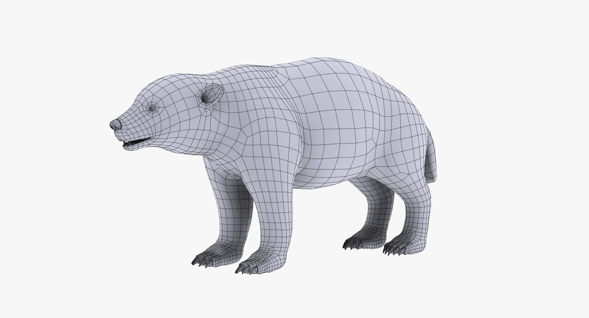 3D wolverine mammal fauna - TurboSquid 1402379