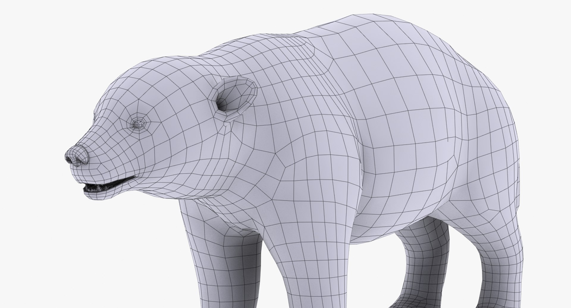 3D wolverine mammal fauna - TurboSquid 1402379