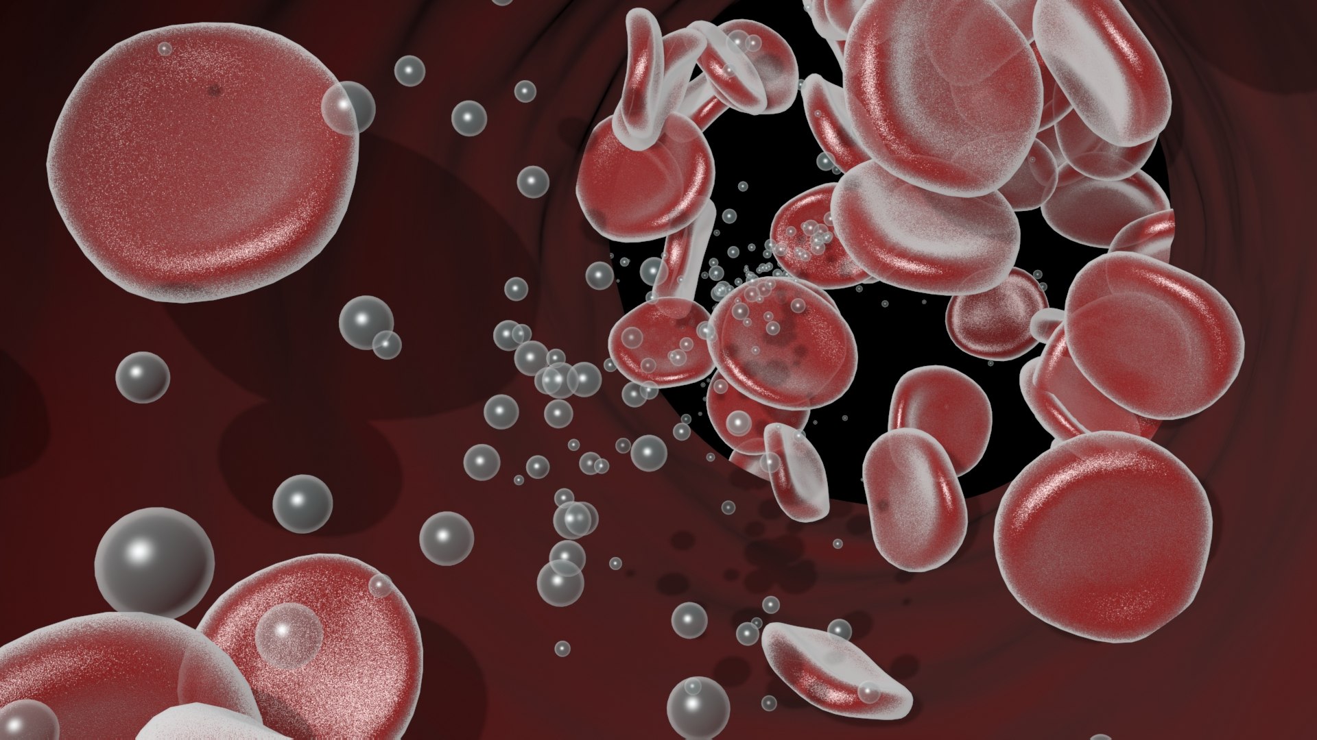 3D Animated Blood Vessels Segment - TurboSquid 1744718
