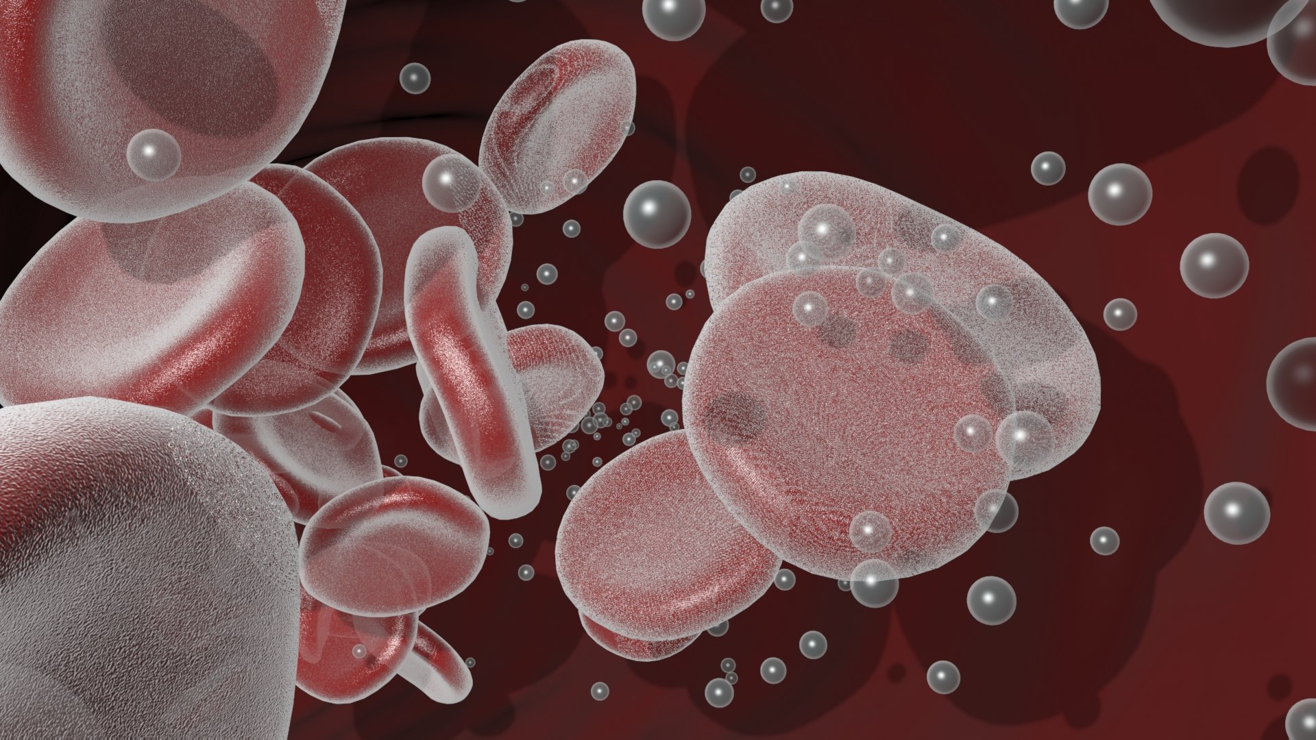 3D Animated Blood Vessels Segment - TurboSquid 1744718