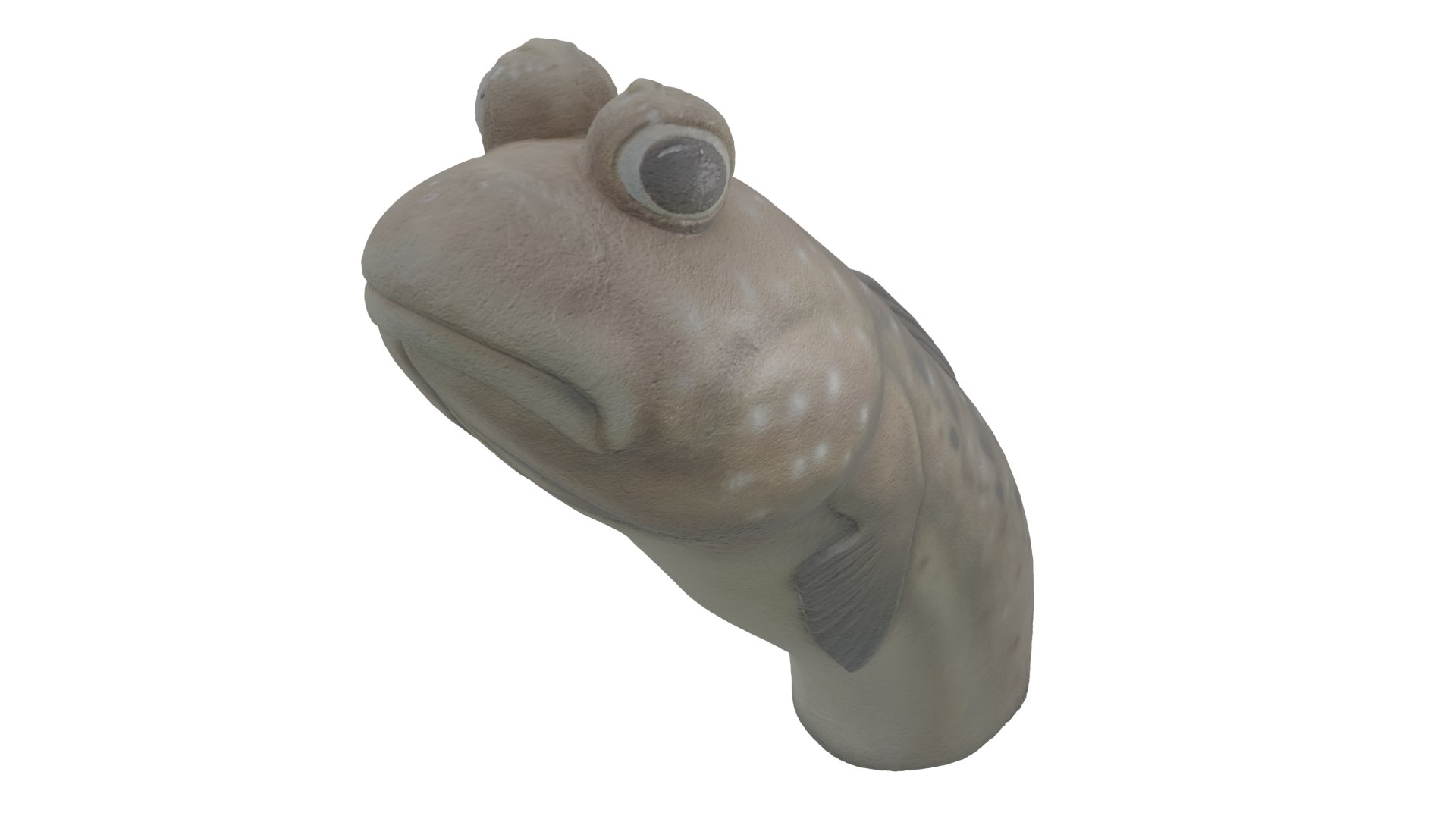3D Mudskipper Sculpture - TurboSquid 2148096