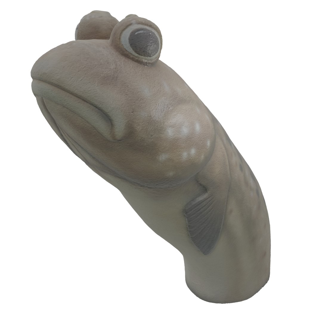 3D Mudskipper Sculpture - TurboSquid 2148096