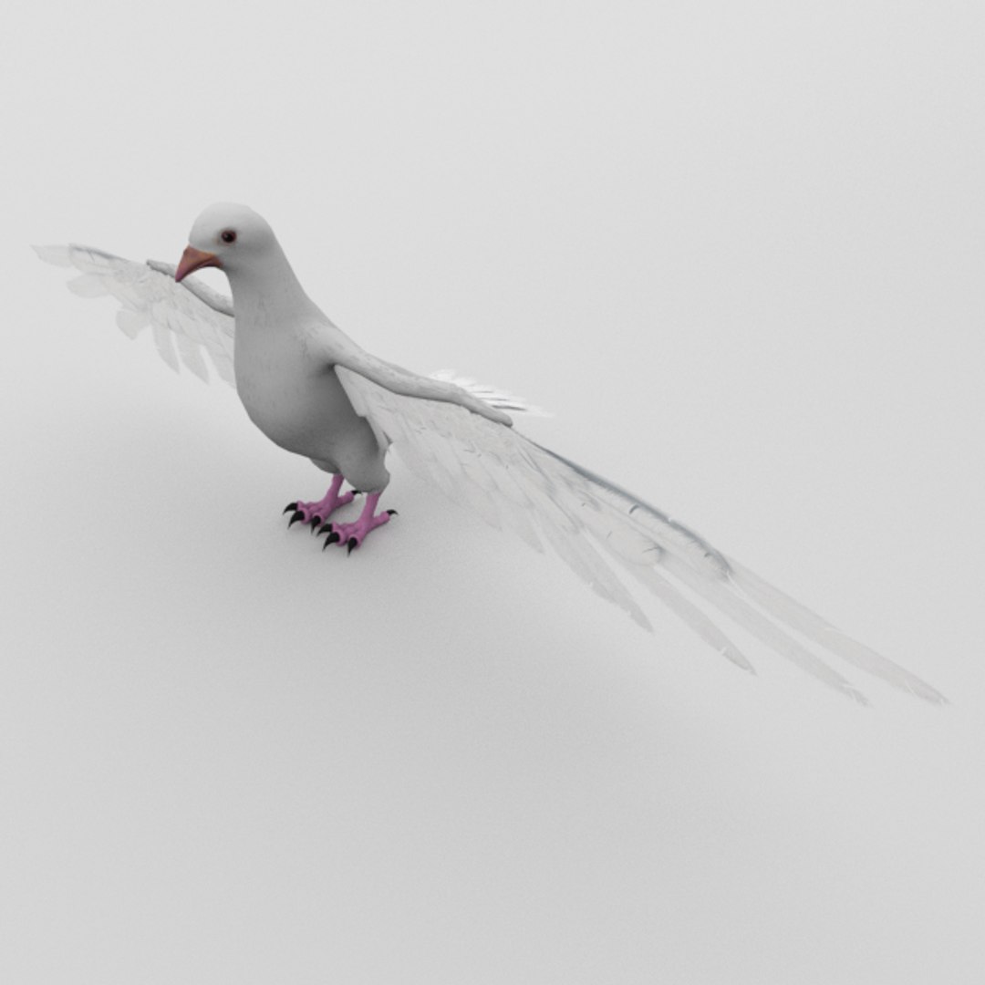 Dove Model - TurboSquid 1334550