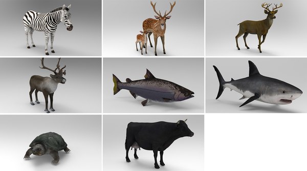 modèle 3D de Wild Animal Pack - No Animated - TurboSquid 2110189