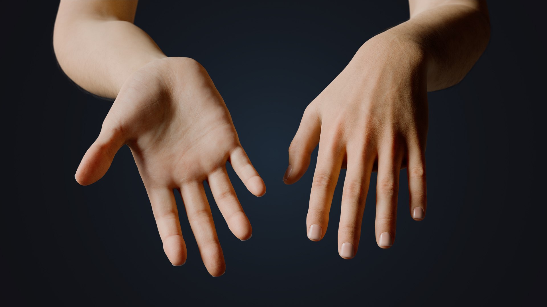 Realistic Rigged Arm V2 3D Model - TurboSquid 2347046