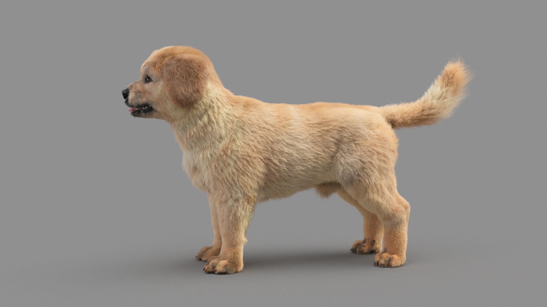 Golden Retriever Puppy 3D Model - TurboSquid 1754011