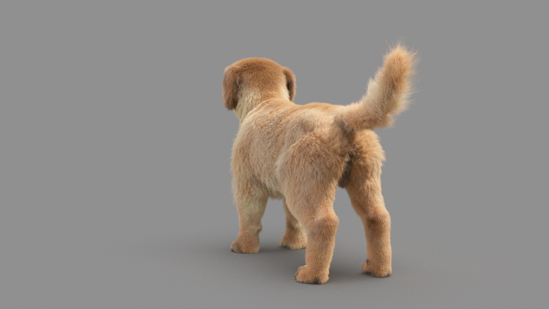 Golden Retriever Puppy 3D Model - TurboSquid 1754011