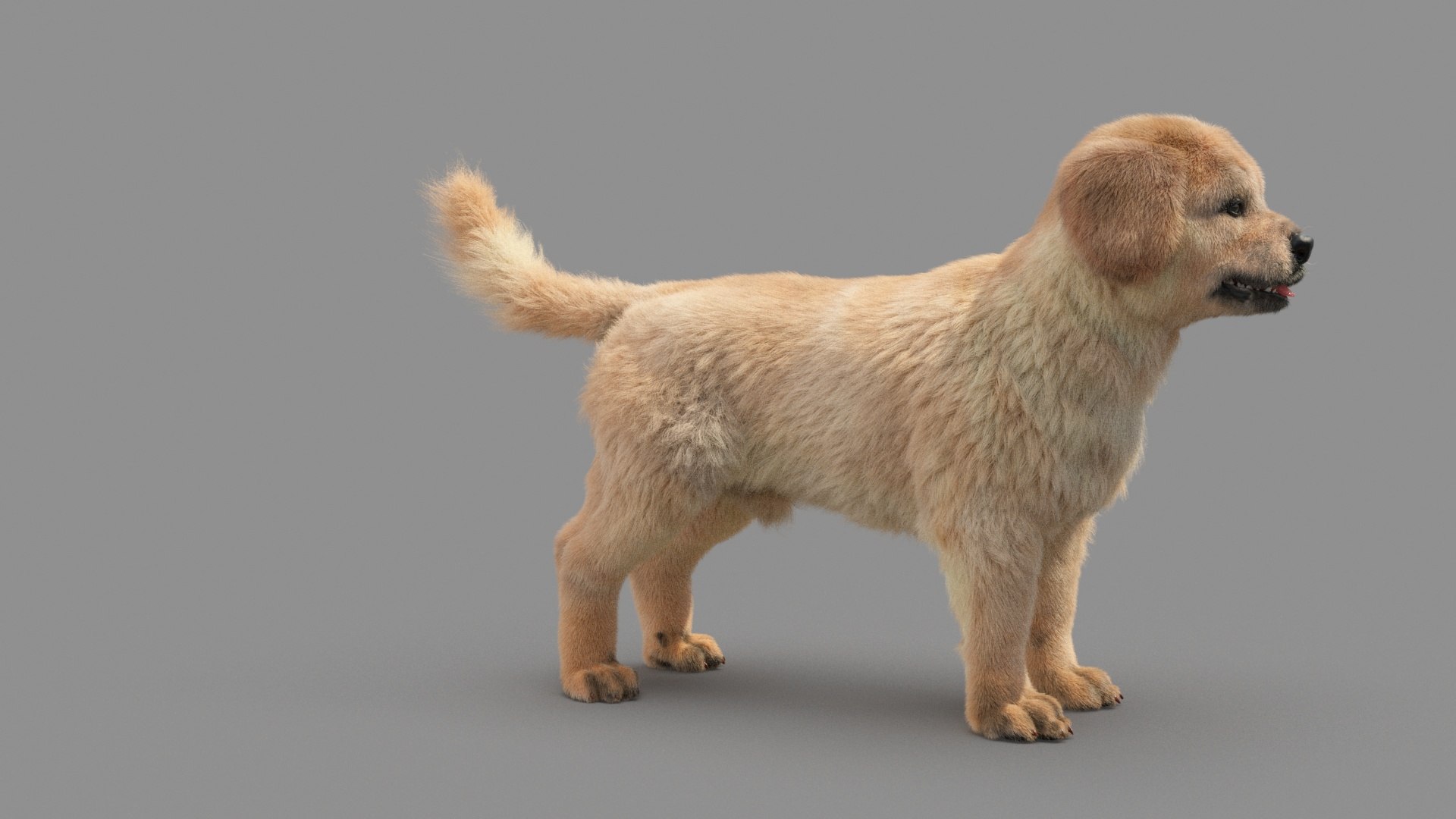 Golden Retriever Puppy 3D Model - TurboSquid 1754011