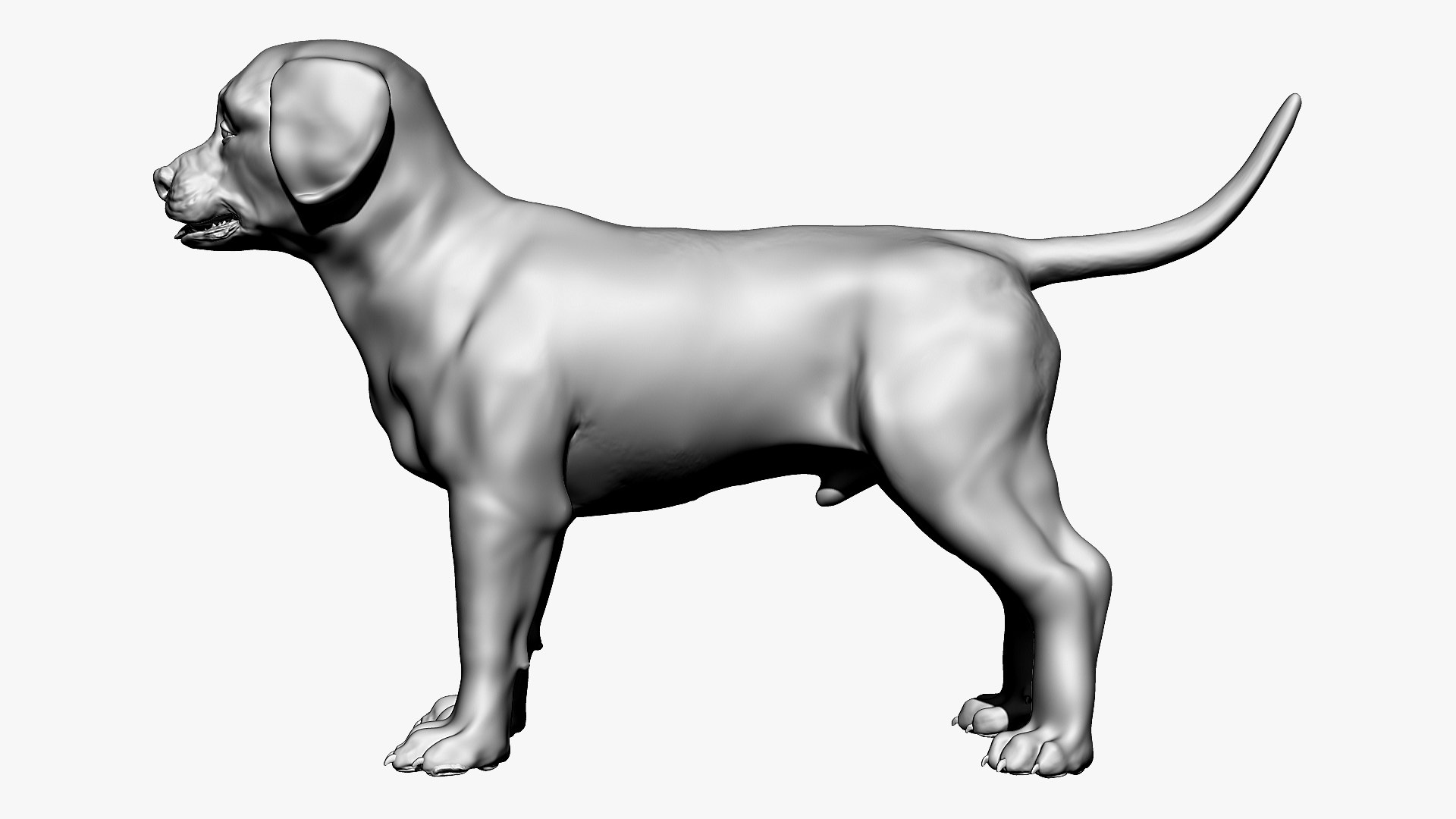 Golden Retriever Puppy 3D Model - TurboSquid 1754011