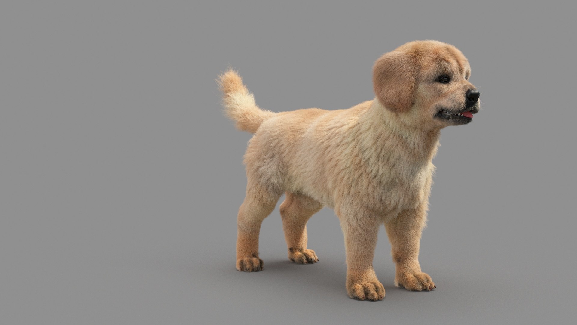 Golden Retriever Puppy 3D Model - TurboSquid 1754011
