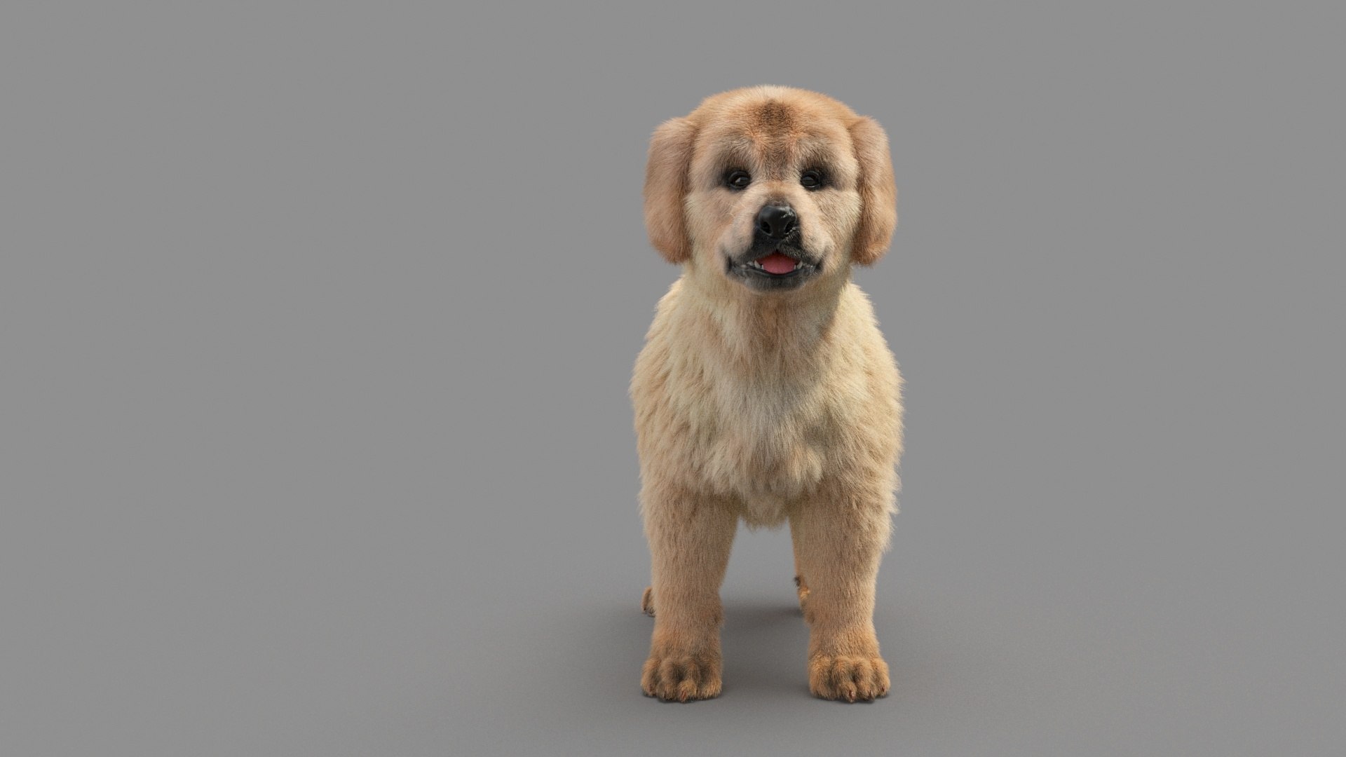 Golden Retriever Puppy 3D Model - TurboSquid 1754011