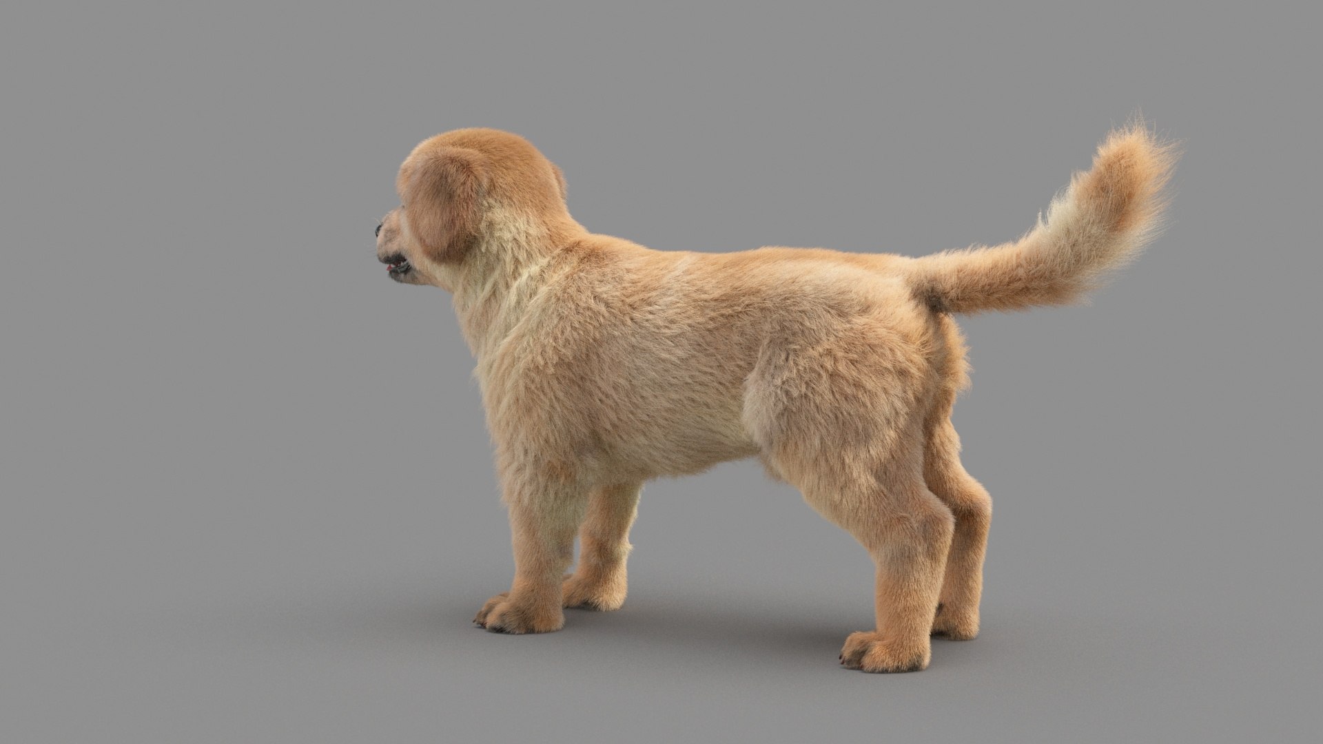 Golden Retriever Puppy 3D Model - TurboSquid 1754011