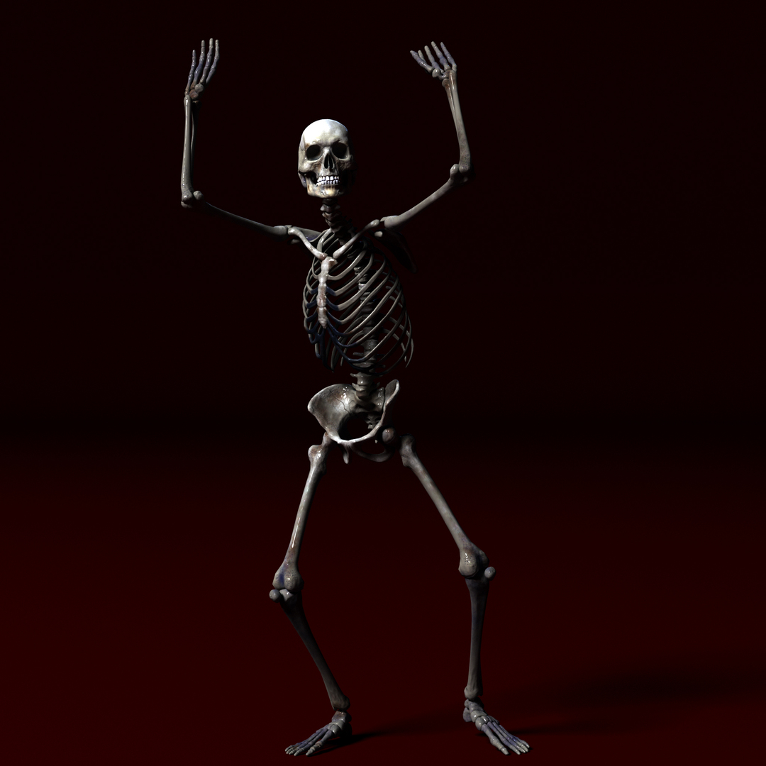 3D skeleton man rig model - TurboSquid 1191324