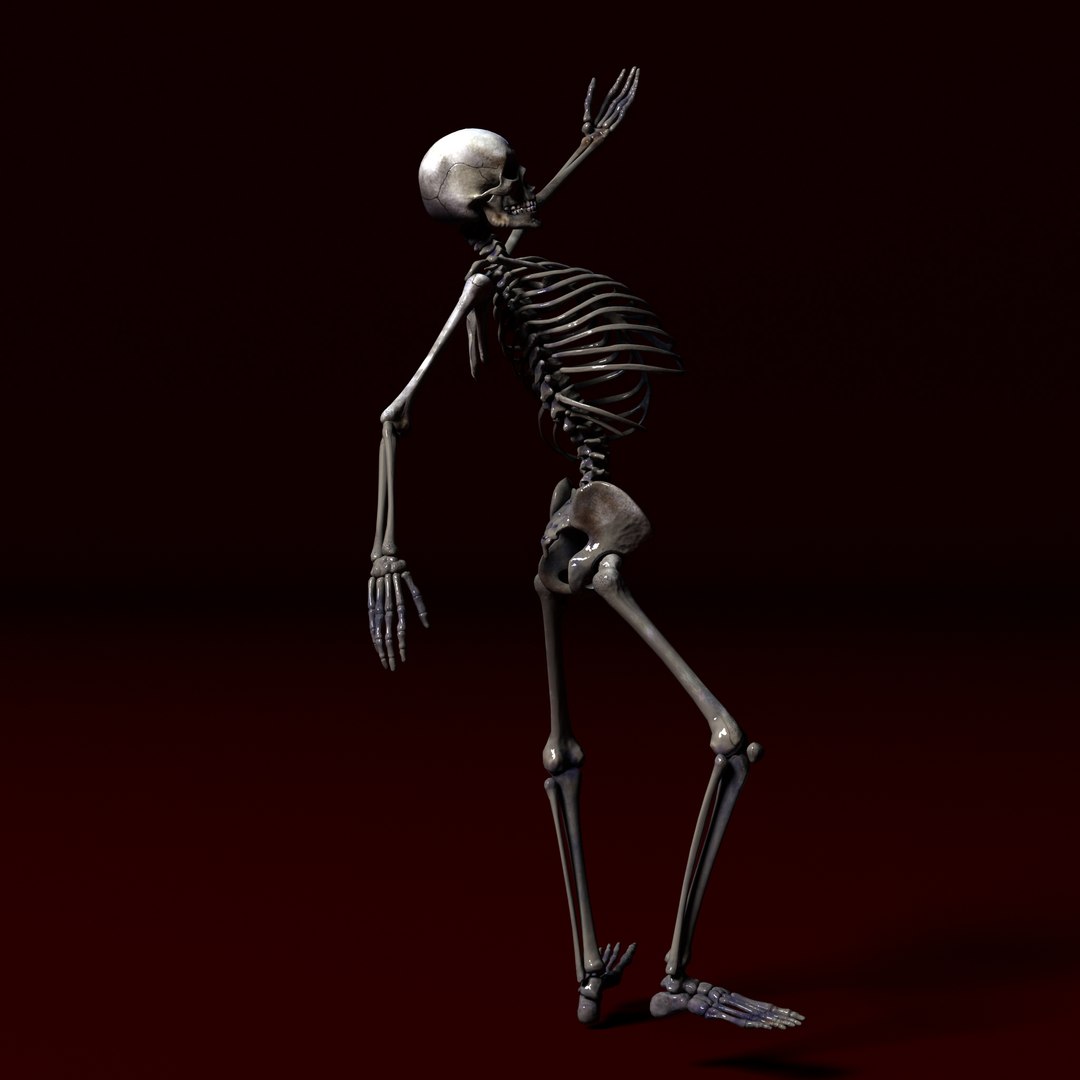 3D Skeleton Man Rig Model - TurboSquid 1191324
