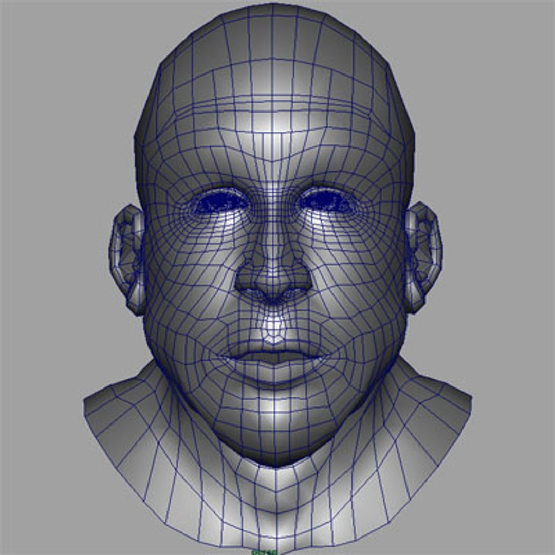 3d Model Human Head