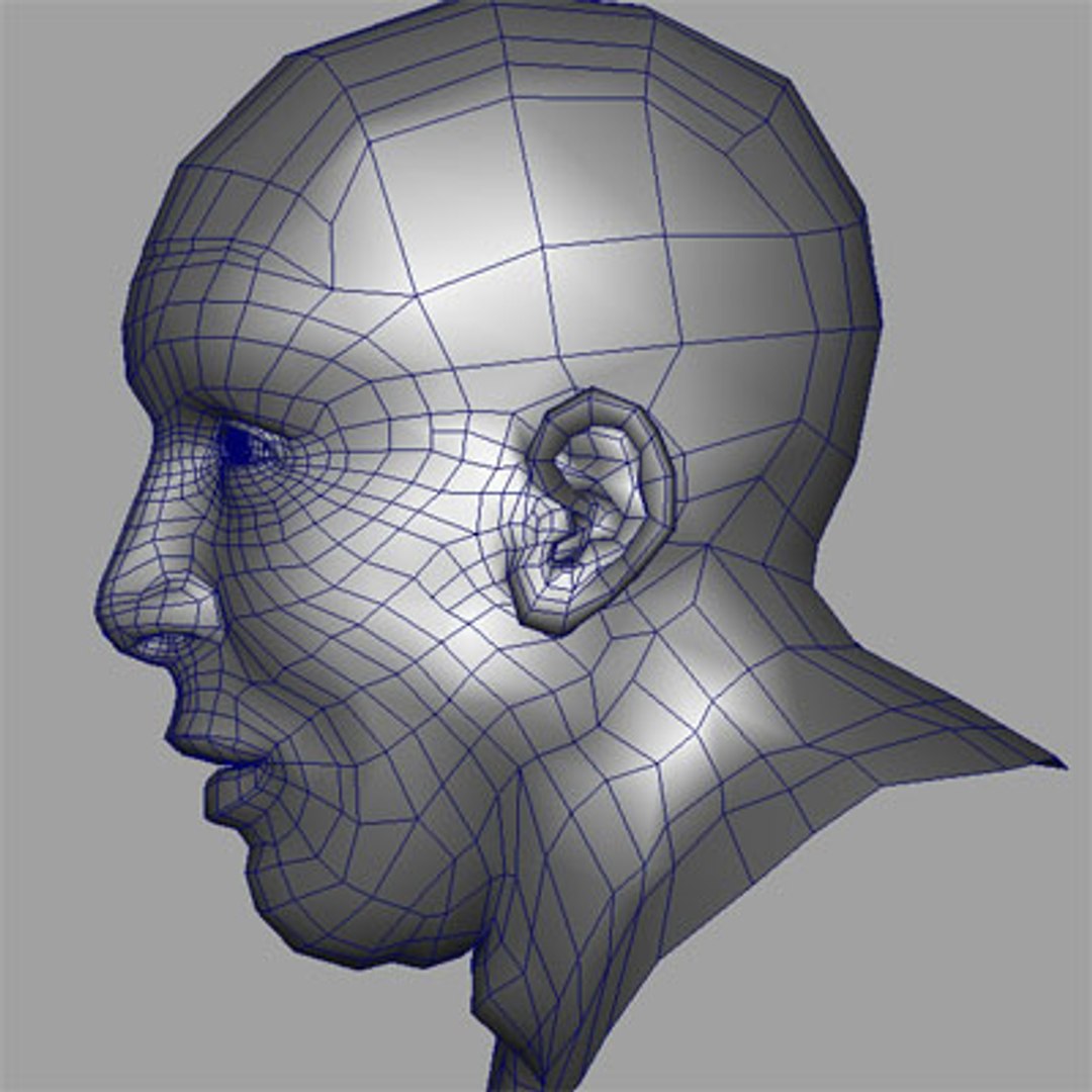 3d Model Human Head