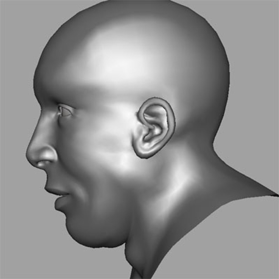 3d Model Human Head