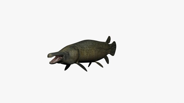modelo 3d Cocodrilo Gar - TurboSquid 1506235