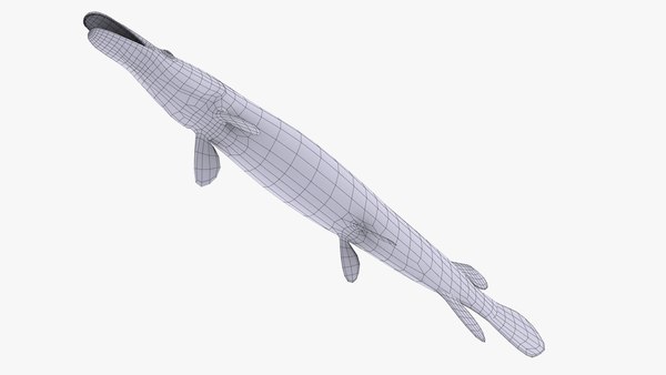 modelo 3d Cocodrilo Gar - TurboSquid 1506235