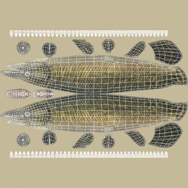 modelo 3d Cocodrilo Gar - TurboSquid 1506235