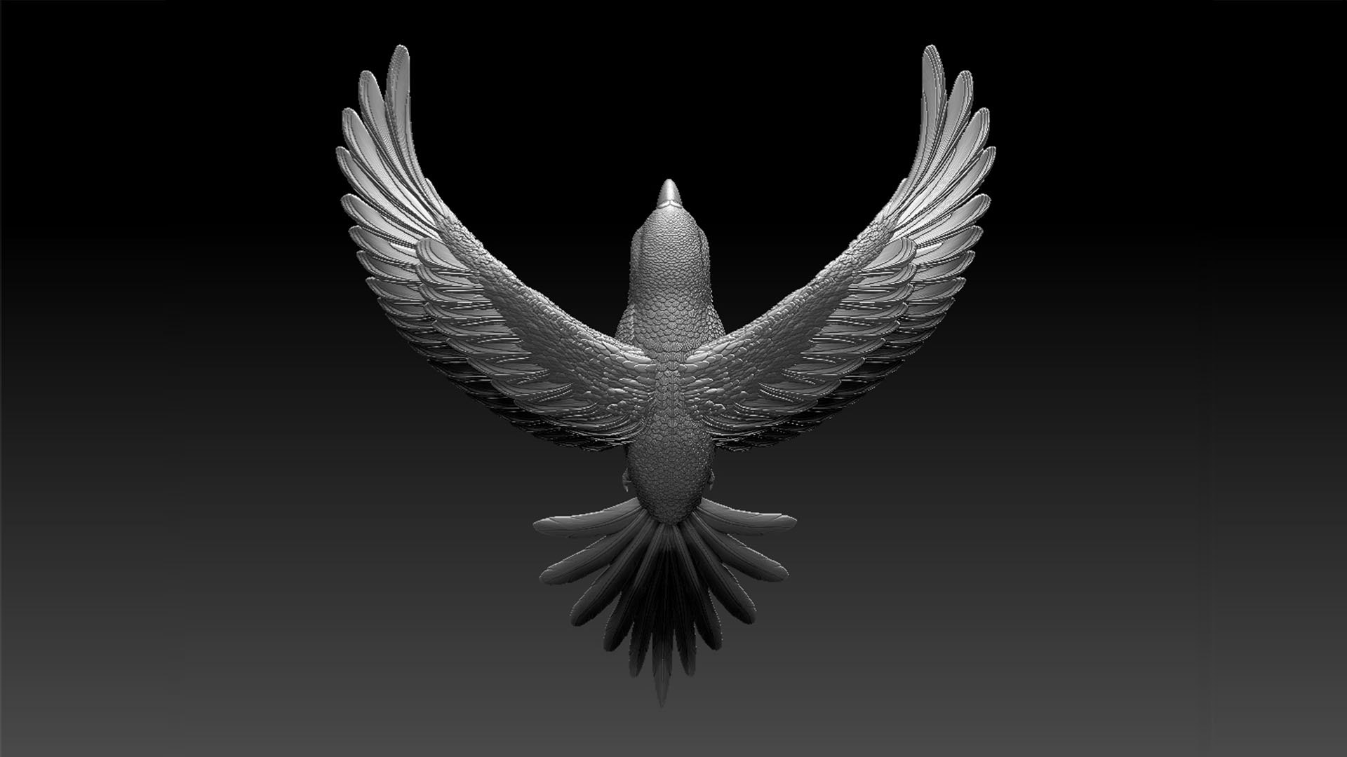 Parrot Model - TurboSquid 1957380