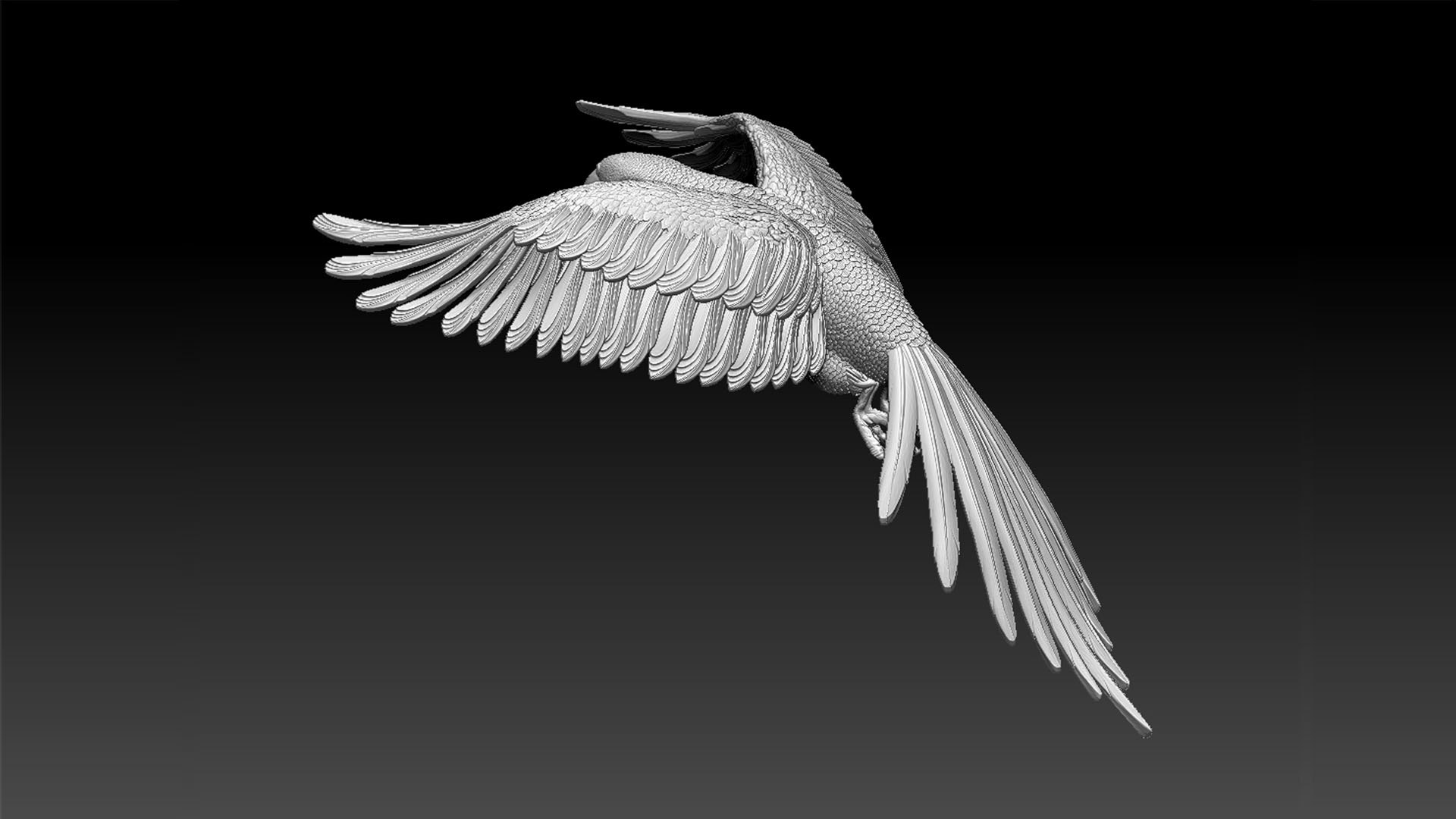 Parrot Model - TurboSquid 1957380