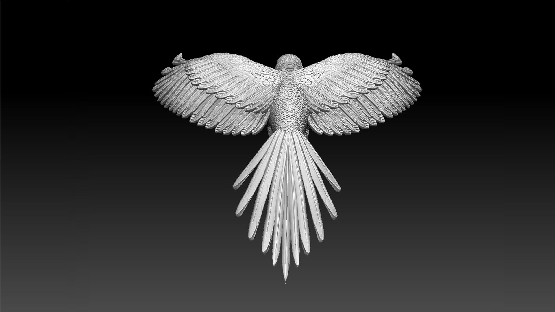 Parrot Model - TurboSquid 1957380