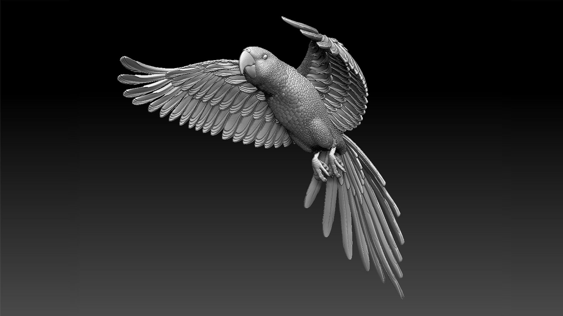 Parrot Model - TurboSquid 1957380