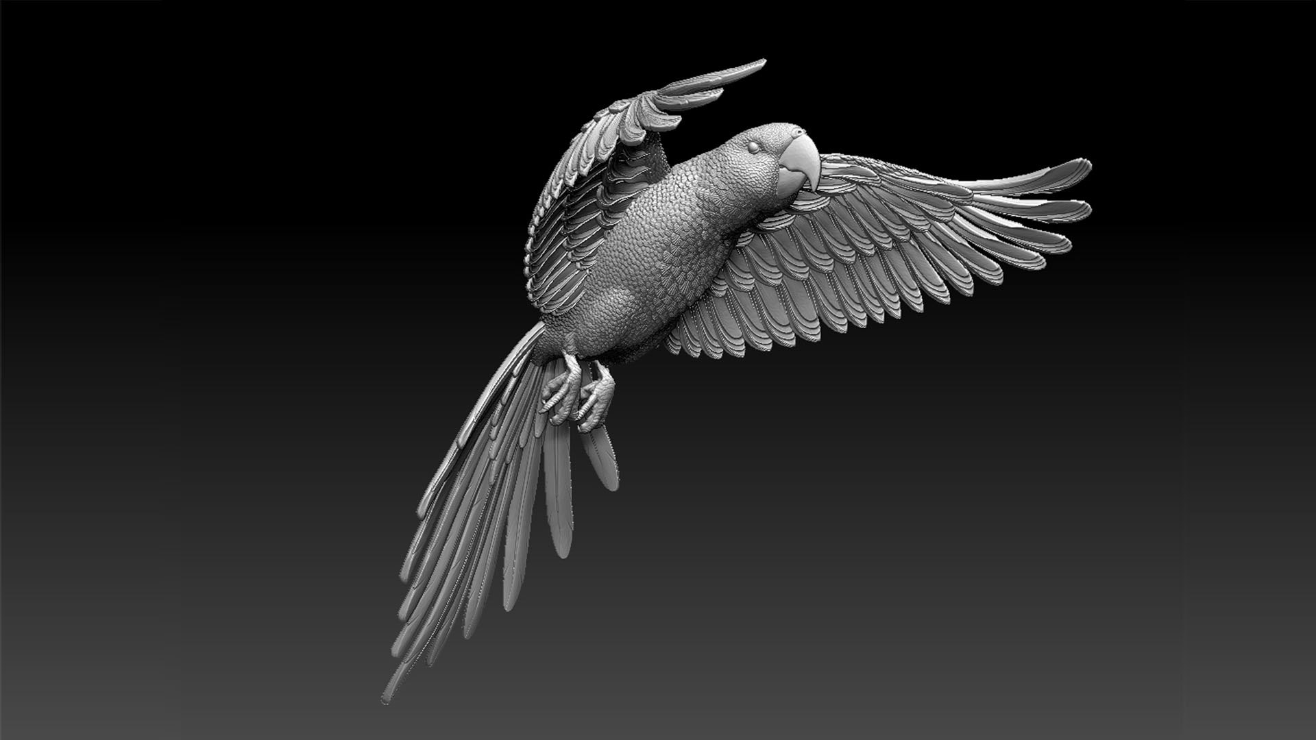 Parrot Model - TurboSquid 1957380
