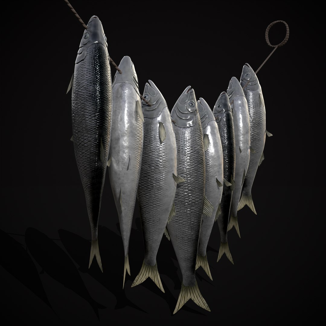 Hanging Herring Fish 3D - TurboSquid 2215210
