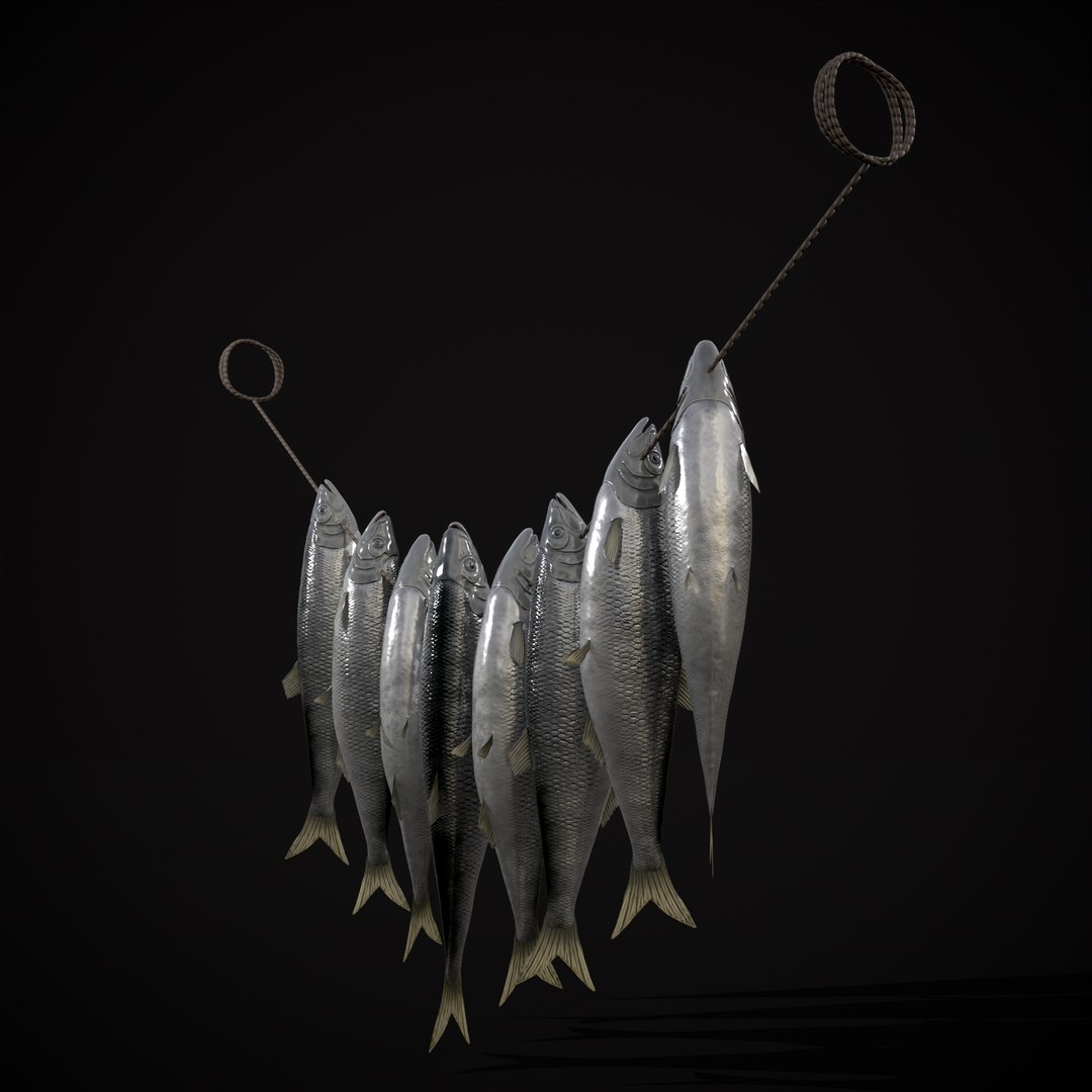Hanging Herring Fish 3D - TurboSquid 2215210
