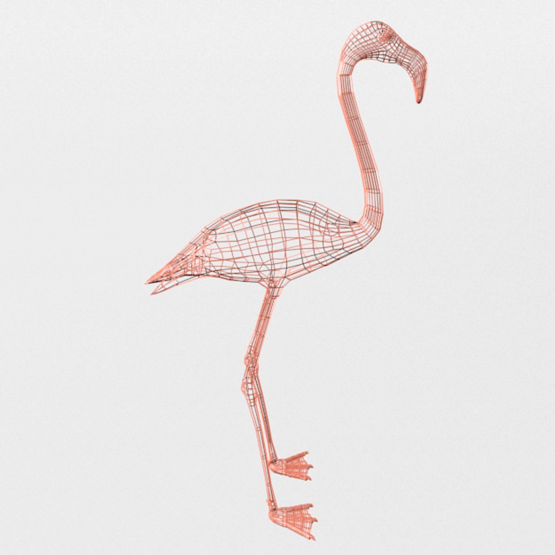 3D flamingo - TurboSquid 1346812