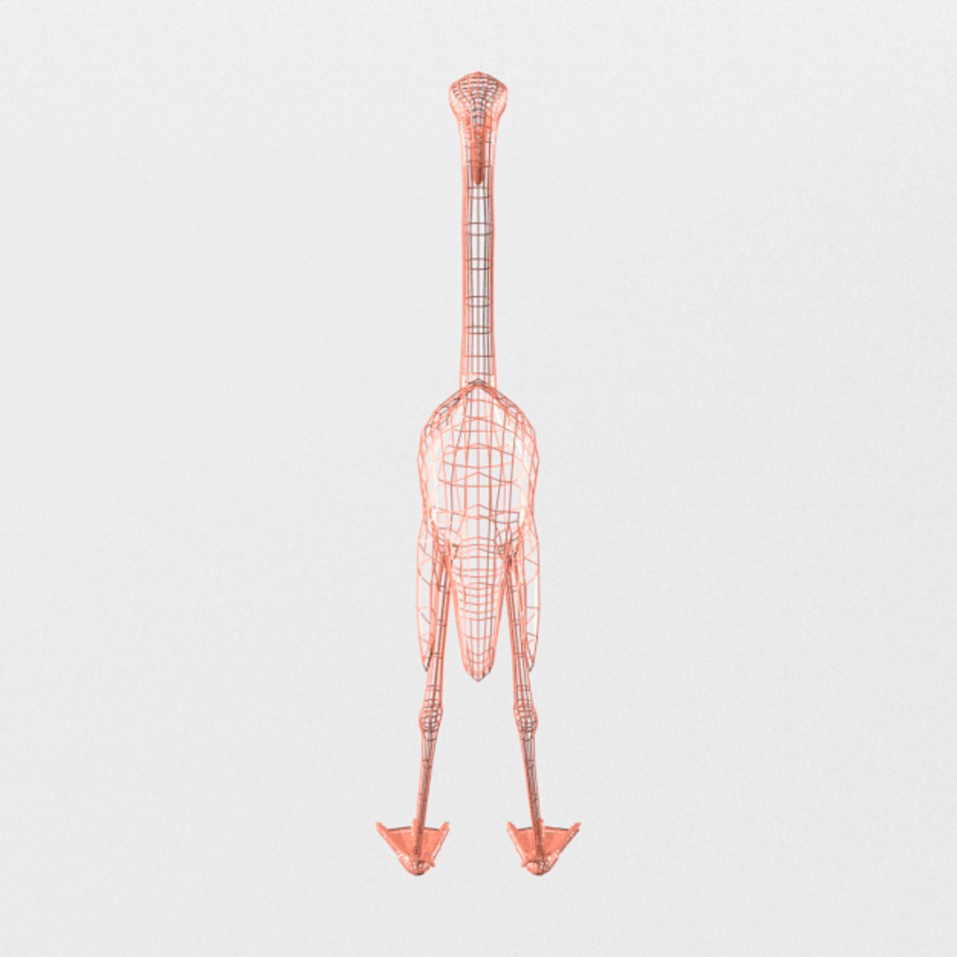 3D flamingo - TurboSquid 1346812