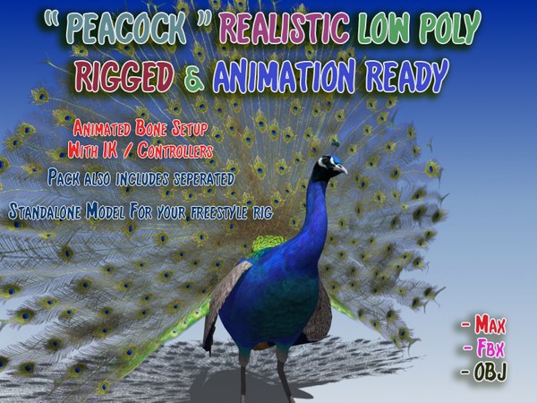 Peacock 3D Models for Download | TurboSquid