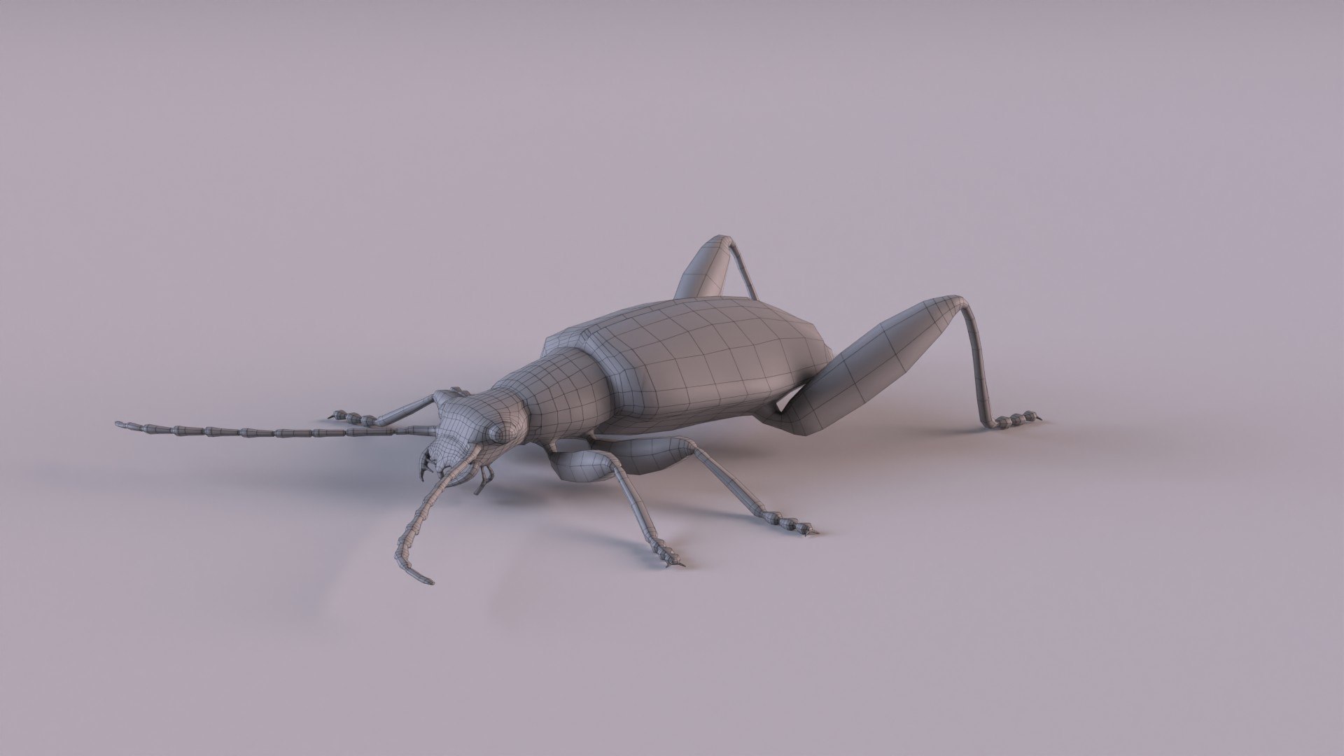 3D Leaf Beetle - TurboSquid 1647224