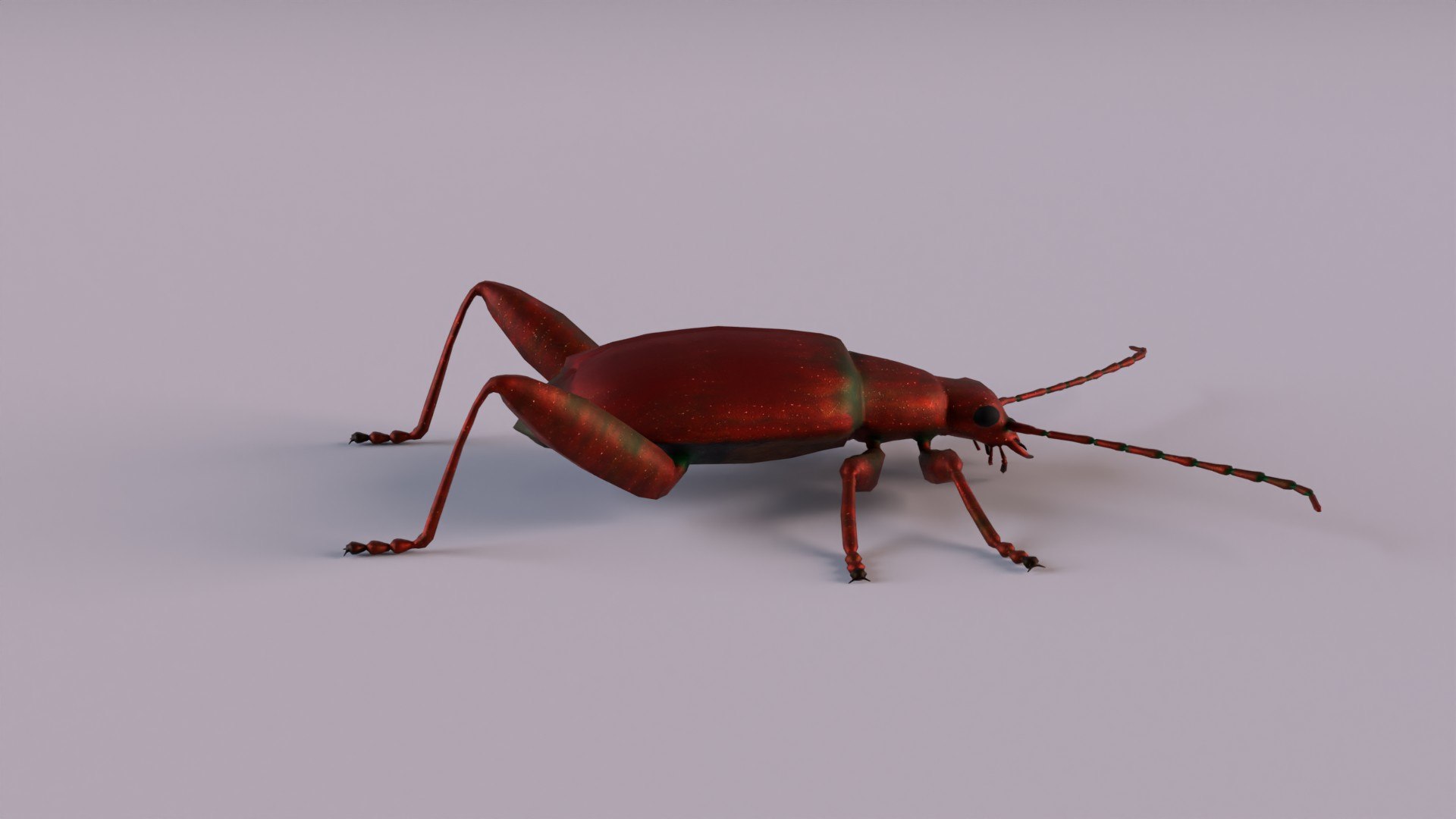 3D Leaf Beetle - TurboSquid 1647224