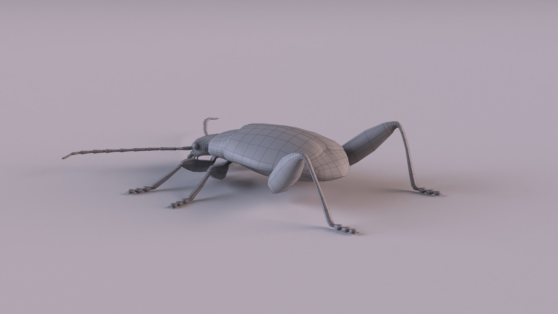 3D Leaf Beetle - TurboSquid 1647224