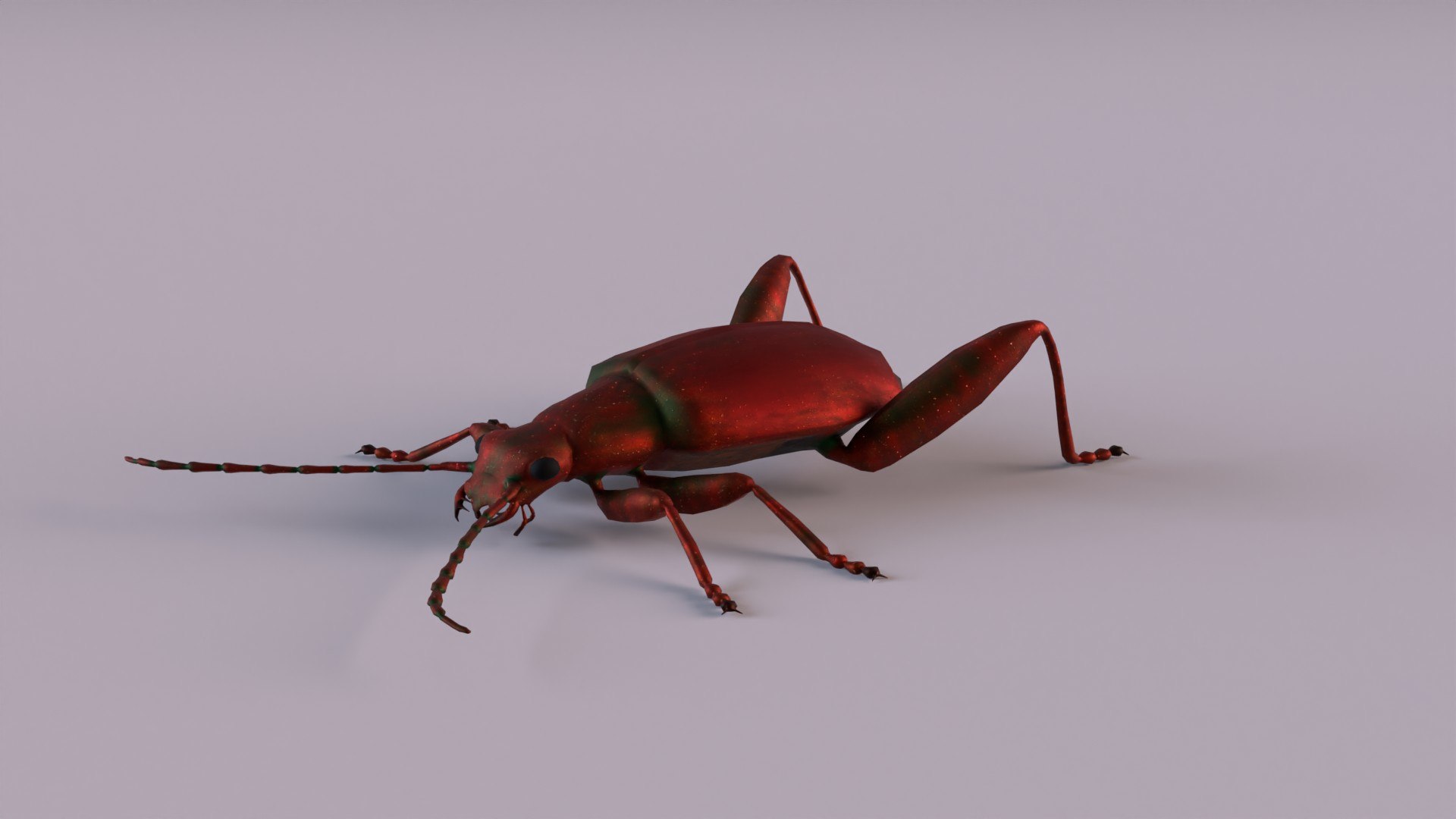 3D Leaf Beetle - TurboSquid 1647224