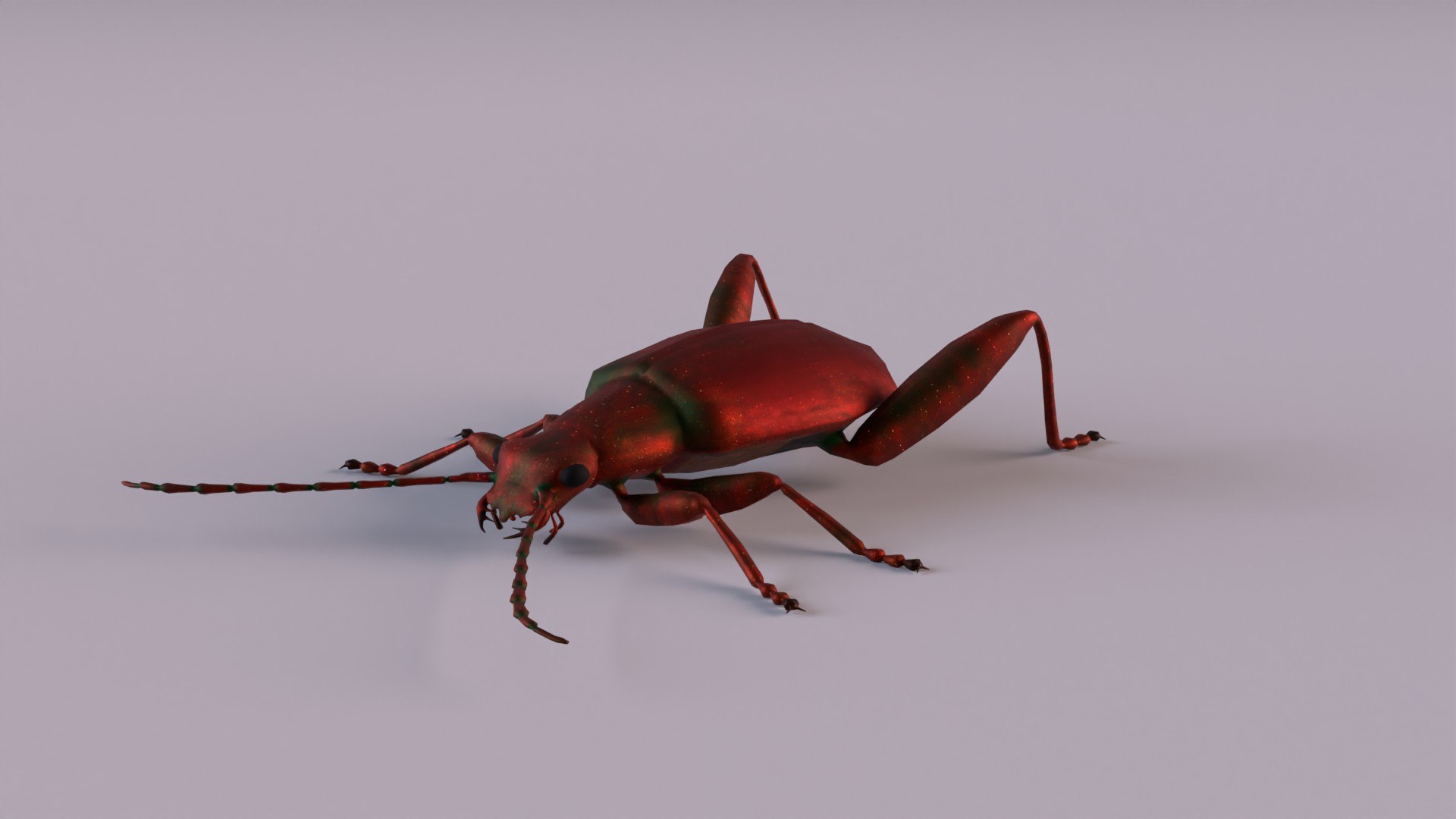 3D Leaf Beetle - TurboSquid 1647224