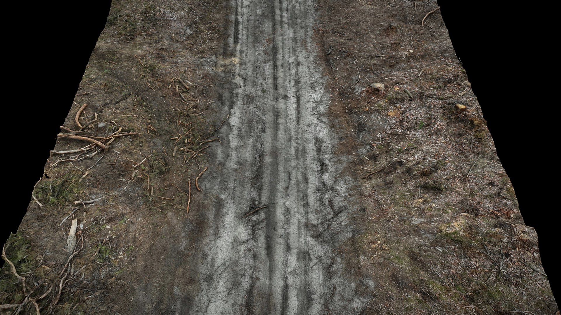 3D Forest Sandy Road Ground Debris Photogrammetry - TurboSquid 2337489