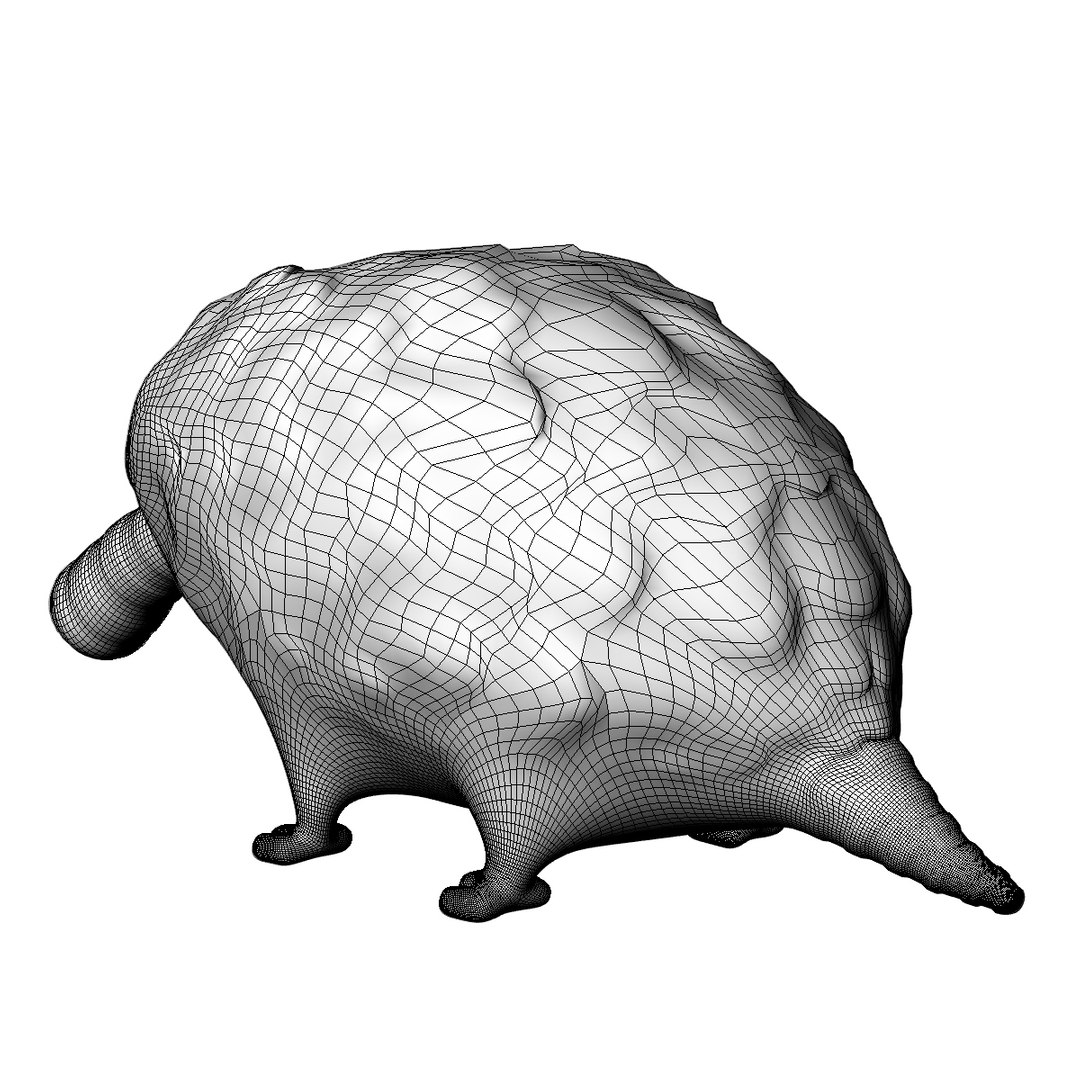 3d Cute Creature Zbrush