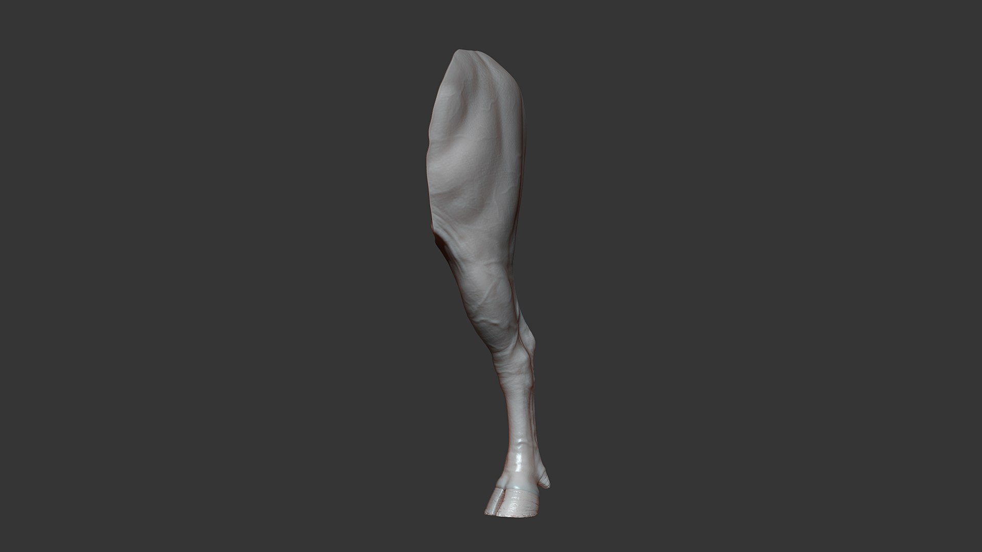 Bull Rear Leg Highpoly Sculpt 3D model - TurboSquid 1809073