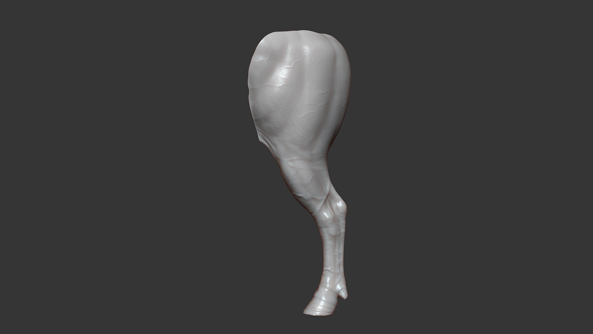 Bull Rear Leg Highpoly Sculpt 3D model - TurboSquid 1809073