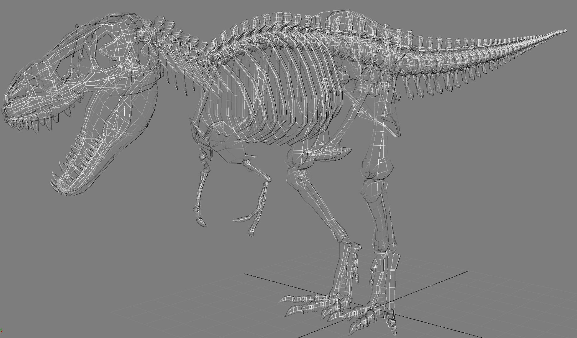 T-rex Skeleton 3d Model