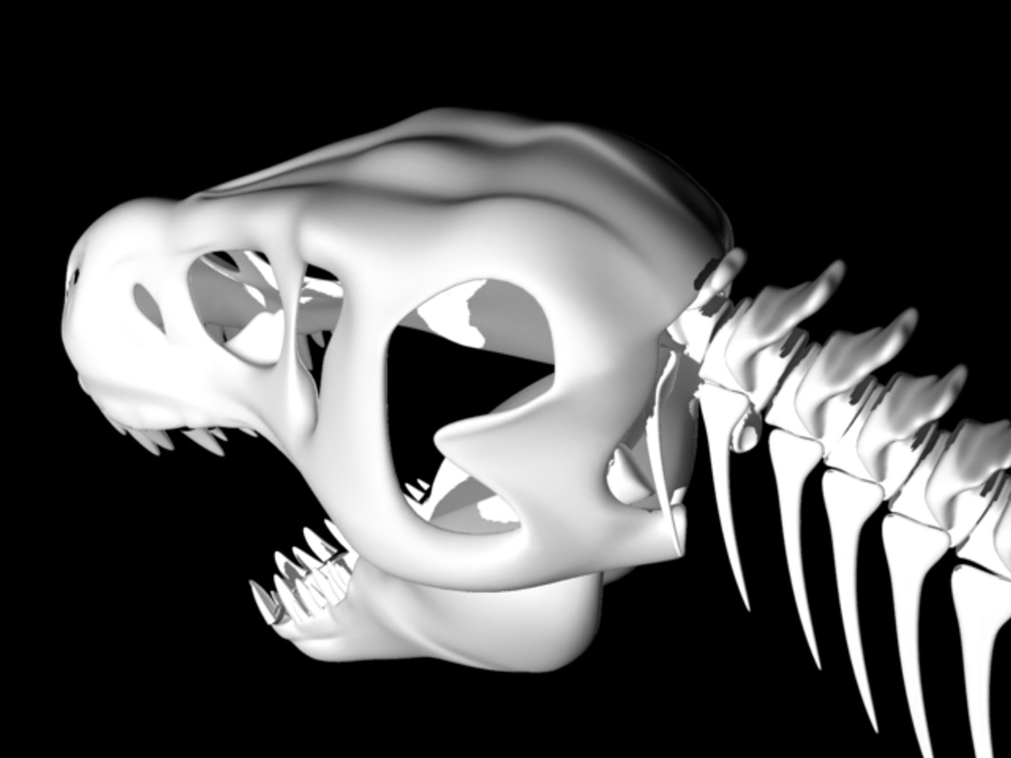 T-rex Skeleton 3d Model