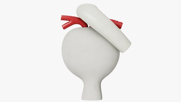 modelo 3d Cápsula de Bowman glomerular de riñón humano profesional ...