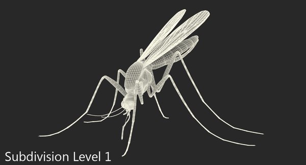 3d model mosquito sucking blood