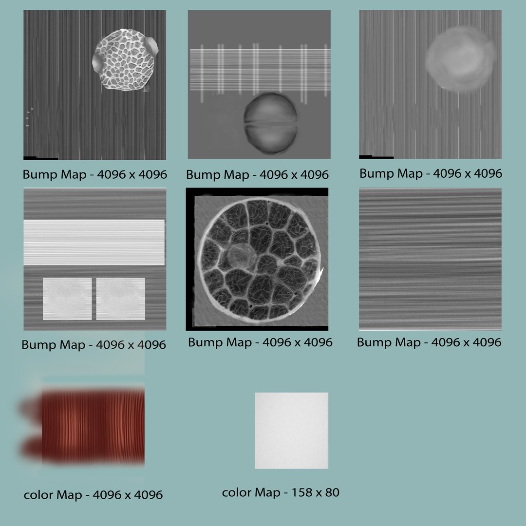 3d Muscle Tissue Model
