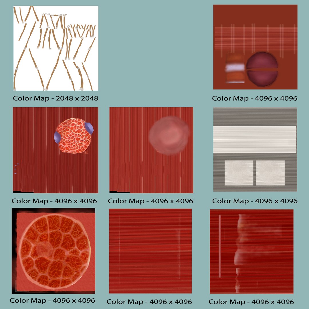3d Muscle Tissue Model